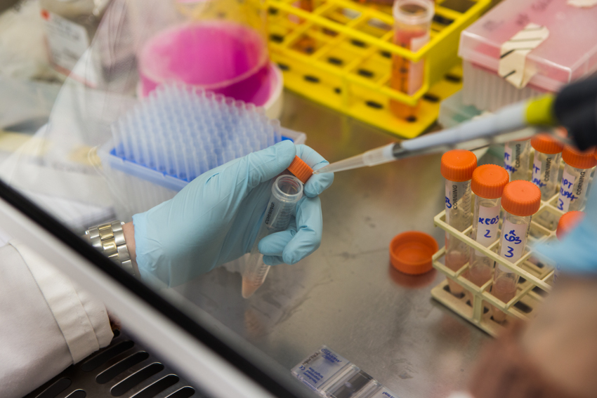 What rare types of diabetes can tell us | Diabetes UK