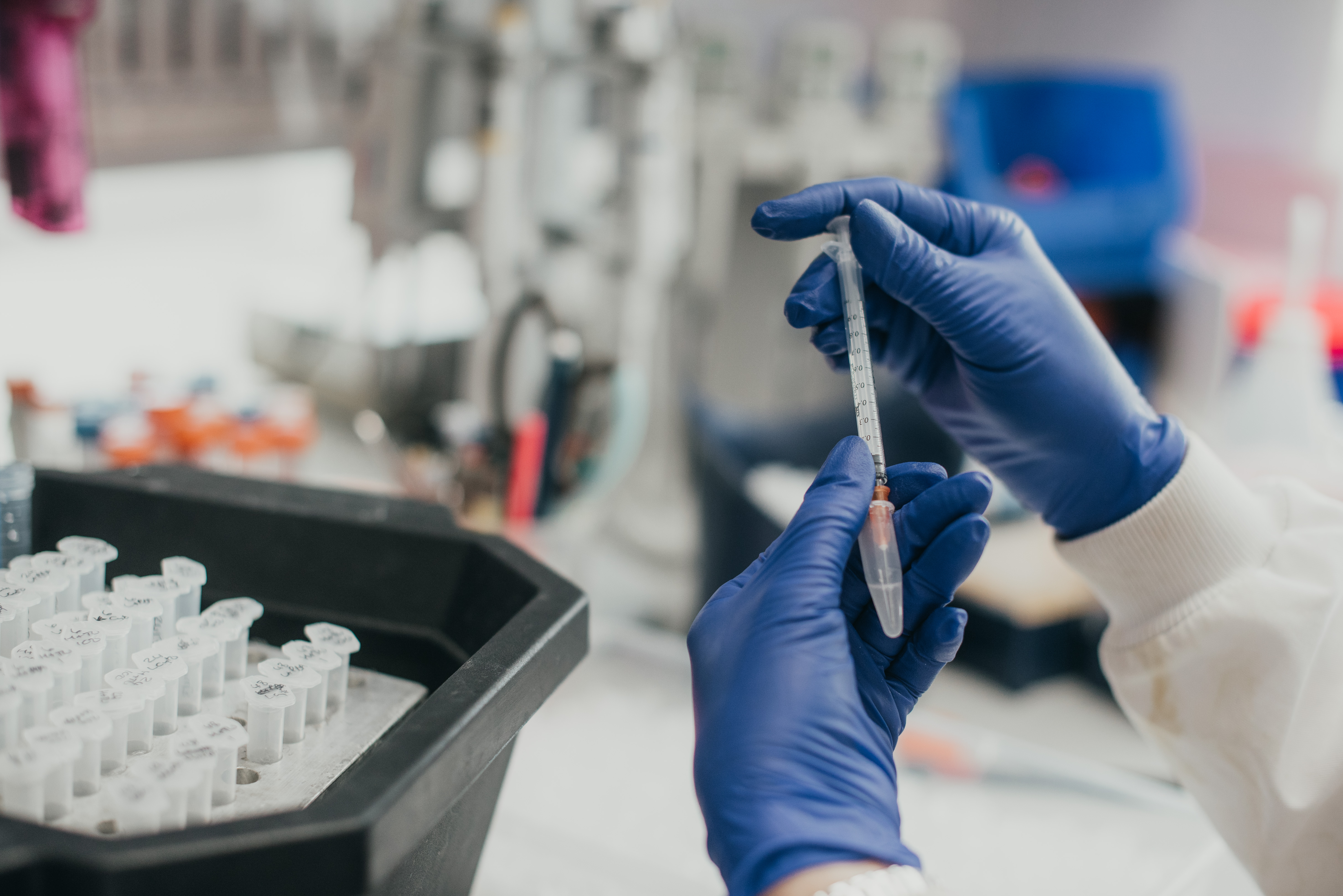 Ai Could Spot Type 2 Risk And Safer Beta Cell Therapy Tested Research Highlights January 2025