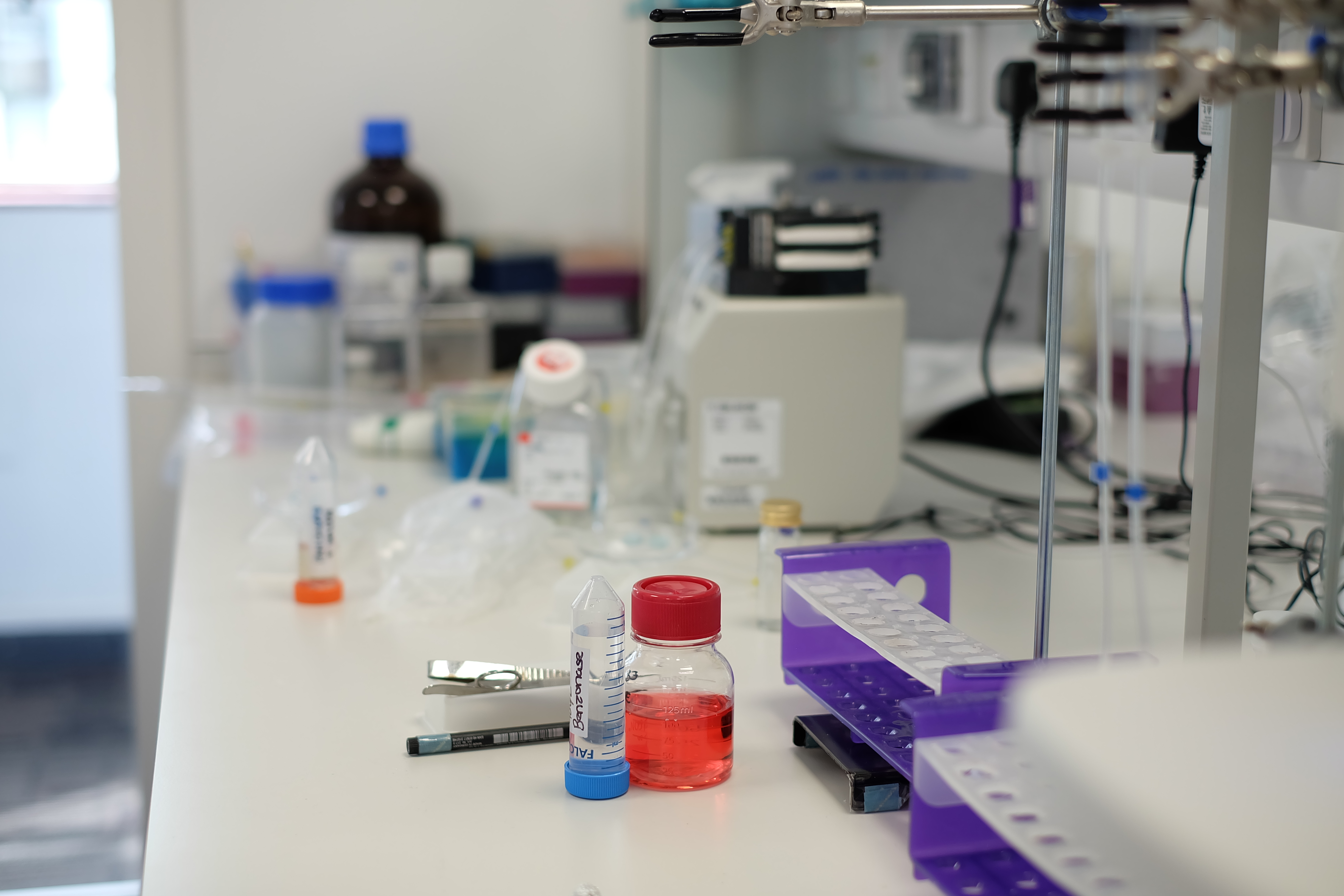 Inside the lab: Detoxing type 2 beta cells